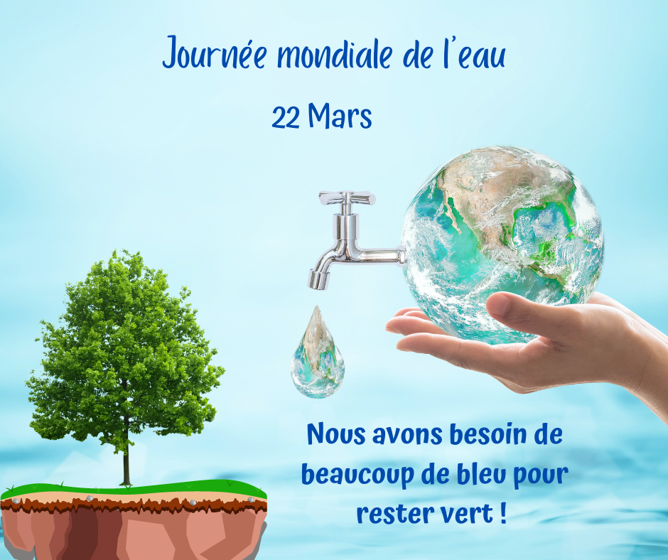 Journée mondiale de l’eau webinaire de Loïc Sallet le 22 mars 2023 à 20h30